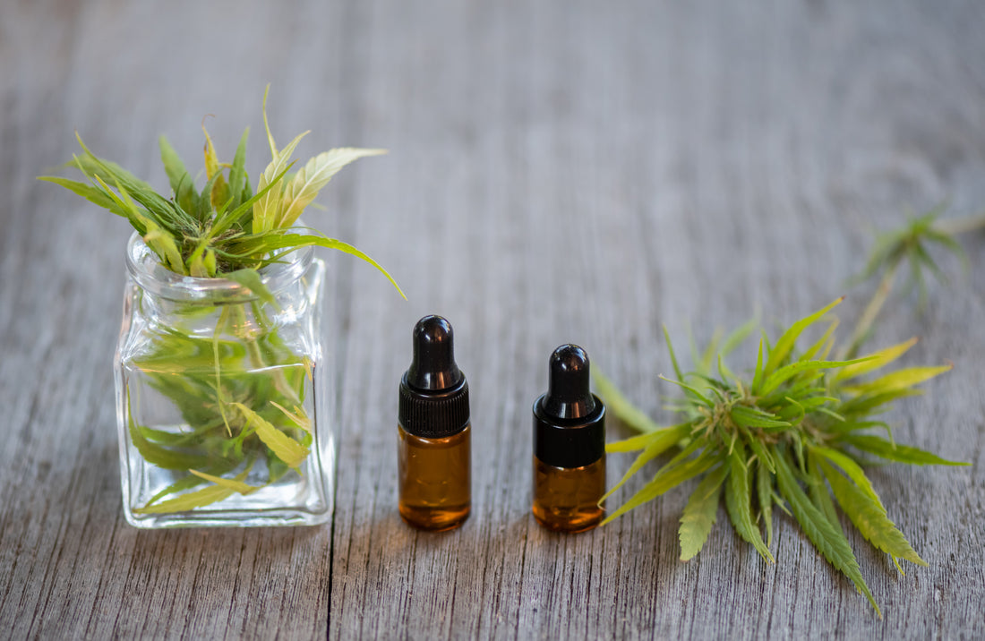 About Treehouse CBD – Tree House CBD